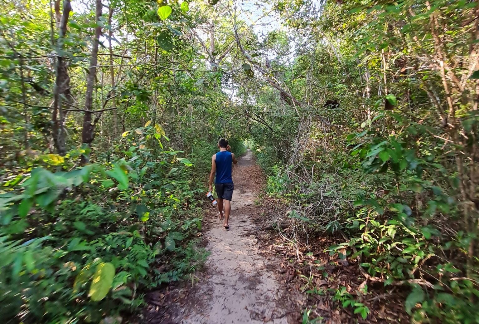 Trekking e trilhas em Alter do Chão: aventura no paraíso natural
