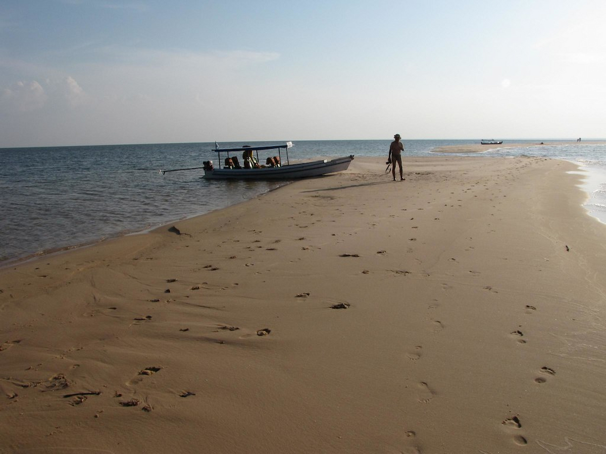 Praia do Cururu, em Alter do Chão: guia completo para curtir