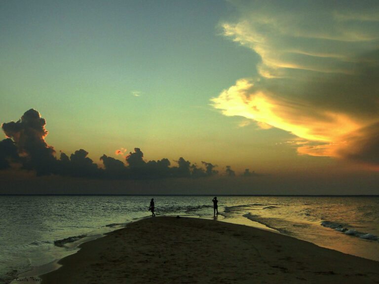 Praia do Cururu, em Alter do Chão: guia completo para curtir