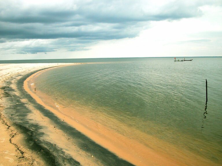 Praia do Cururu, em Alter do Chão: guia completo para curtir