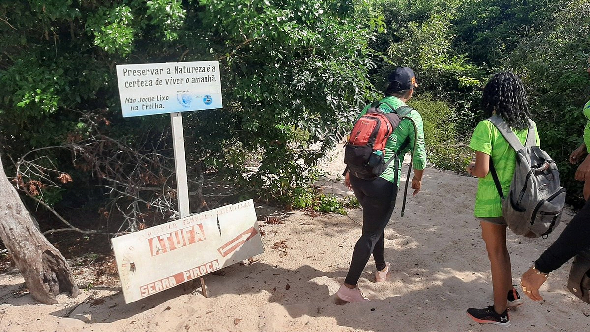 Trilhas na Serra da Piroca em Alter do Chão: jornada emocionante