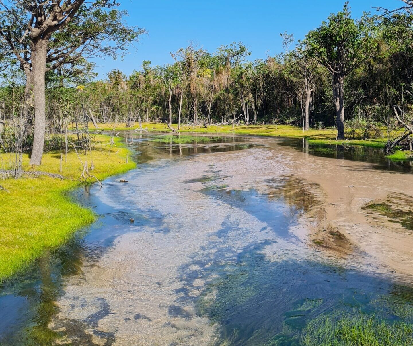 Lago Verde em Alter do Chão: explore a bela Amazônia brasileira
